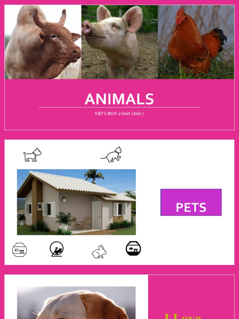 Kids Box 1 Unit 7: Pets and Farm Animals | PDF