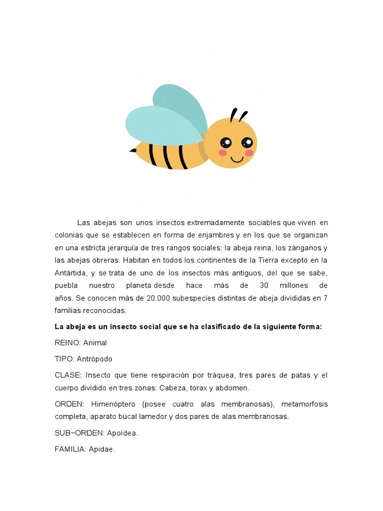 ABEJAS | PDF