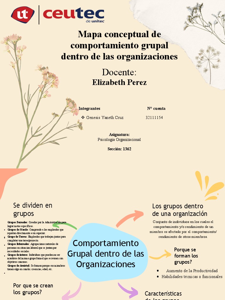Tarea (Semana3) - Mapa Conceptual de Comportamiento Grupal Dentro de Las Organizaciones - Yaneth ...