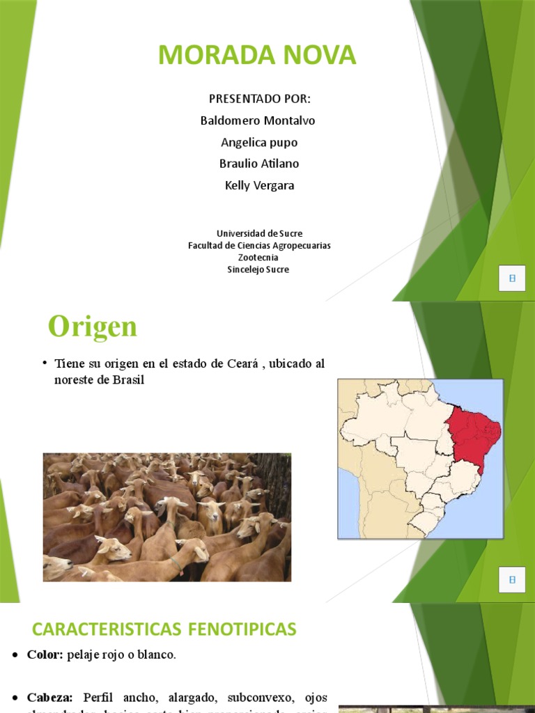 Morada Nova Exp Especies Ii | PDF