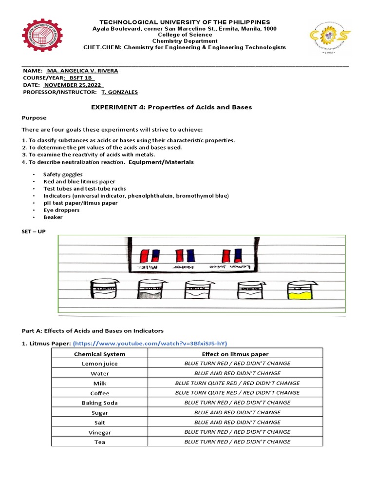 Properties of Acids and Bases Experiment | PDF | Acid | Magnesium