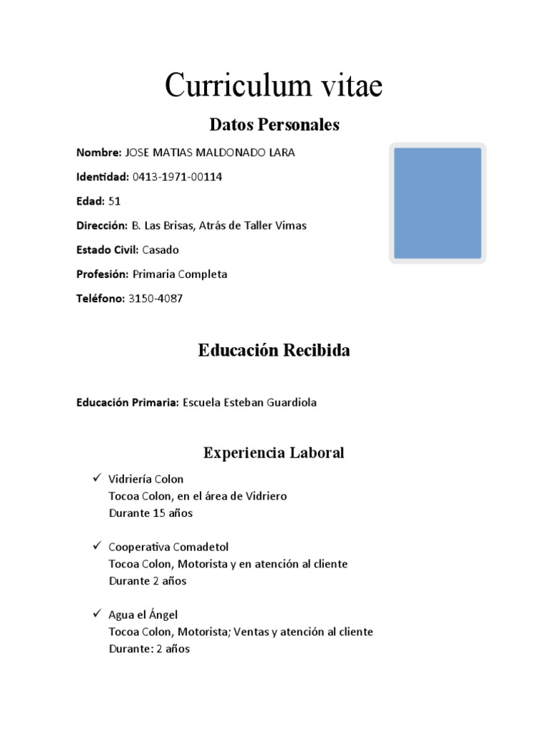 Curriculum Vitae Matias Maldonado | PDF