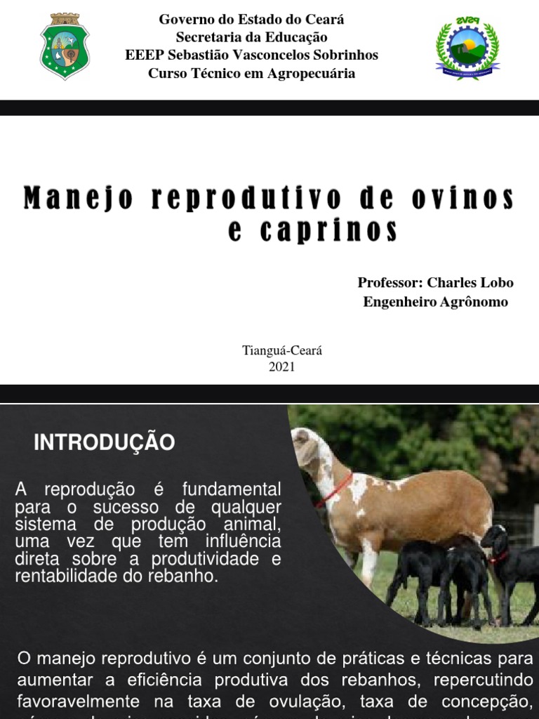 Gestão reprodutiva de cabras e ovelhas: aspectos fundamentais para o sucesso da atividade | PDF ...