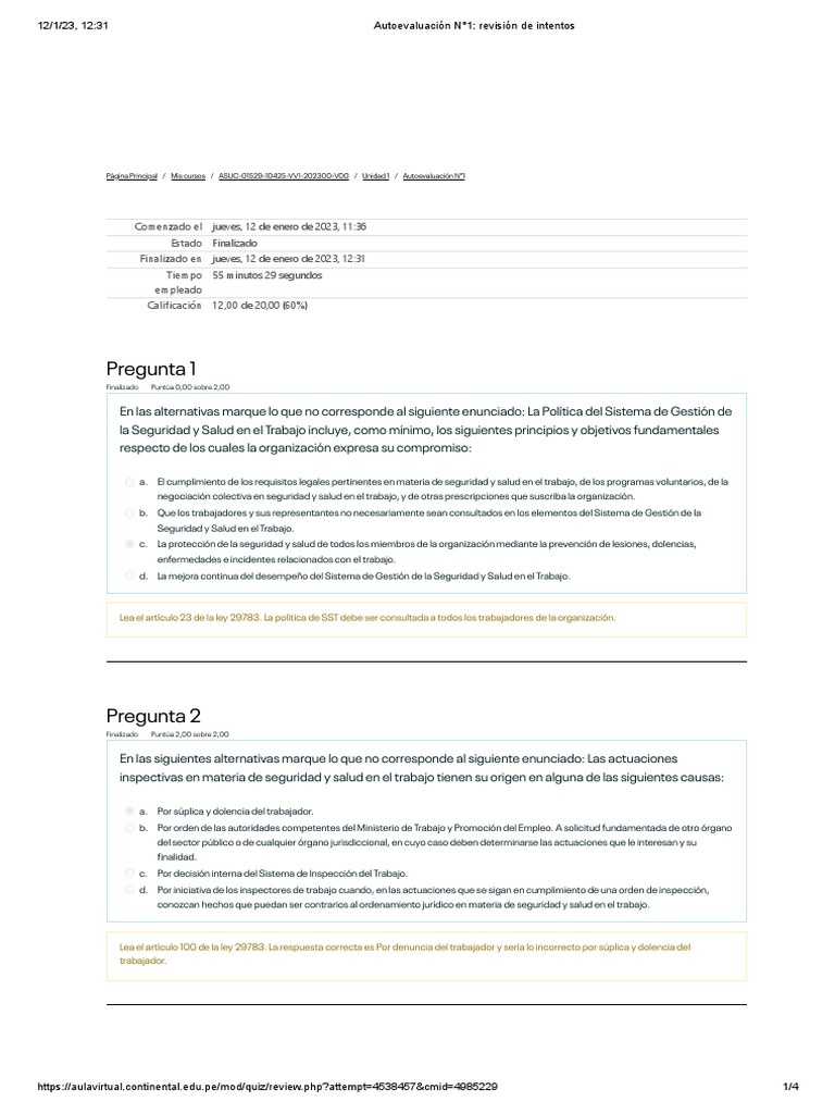 Autoevaluación N°1_ sst 2 | PDF