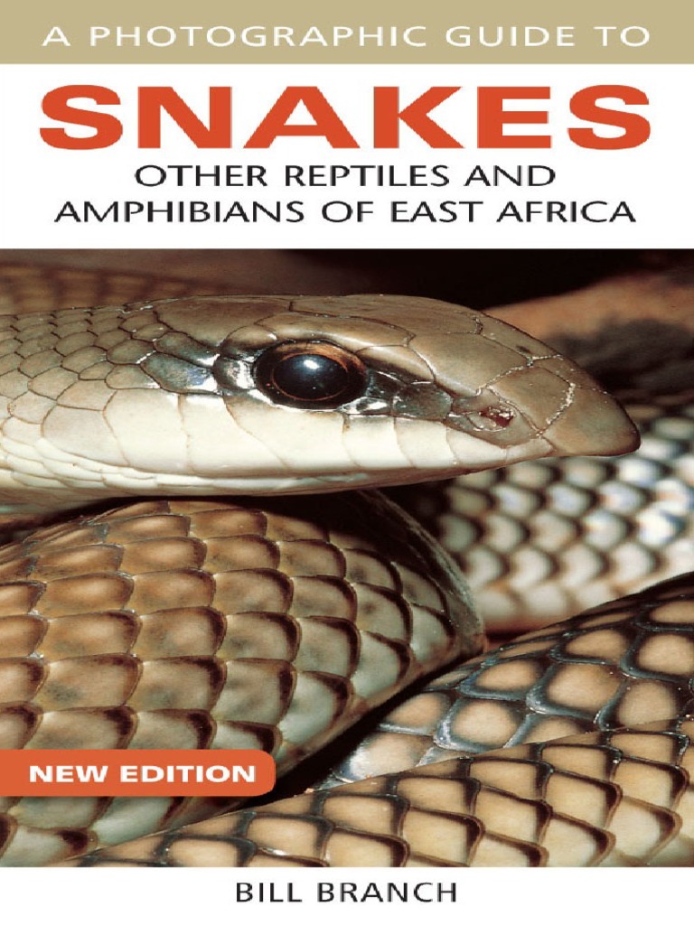 A Photographic Guide To Snakes, Other Reptiles and Amphibians of East ...