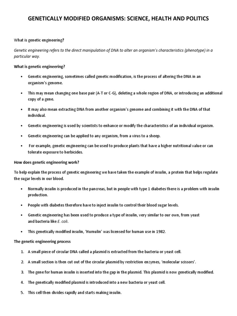 Genetically Modified Organisms Overview | PDF | Genetically Modified ...