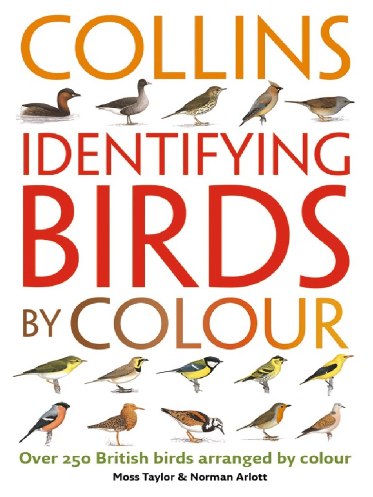 Identifying Birds by Colour (PDFDrive) | PDF | Feather | Bird Migration
