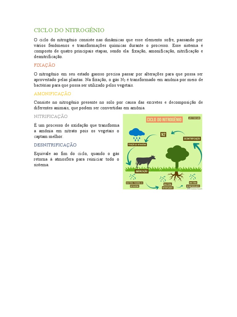 Ciclo Do Nitrogênio | PDF