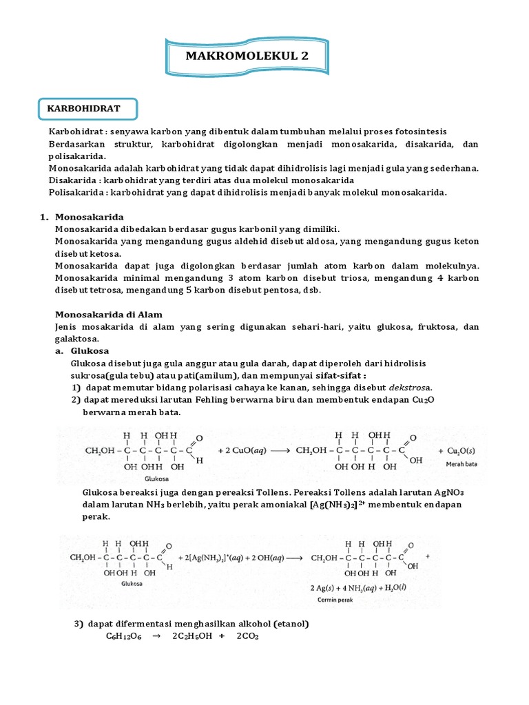 Modul Makromolekul 2 (Karbohidrat-Protein-Lemak) | PDF