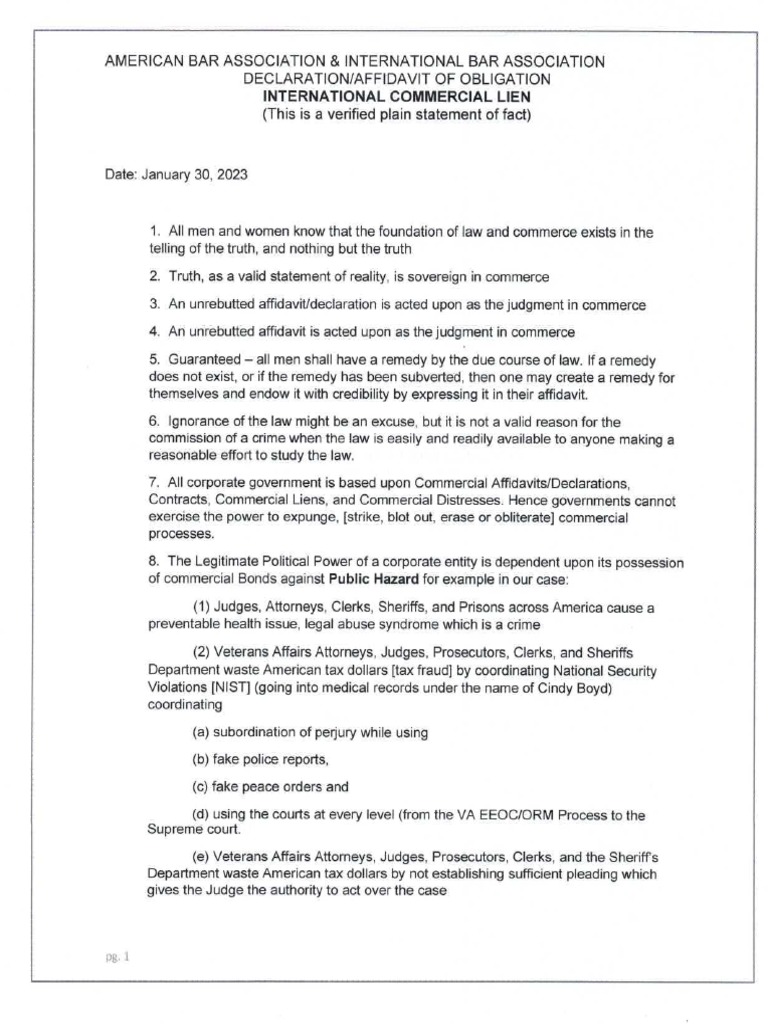 #4 American Bar Affidavit of Obligation International Lien | PDF