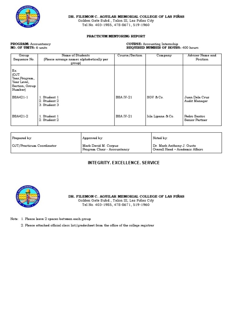 DFCAMCLP Practicum Mentoring Report FINAL | PDF