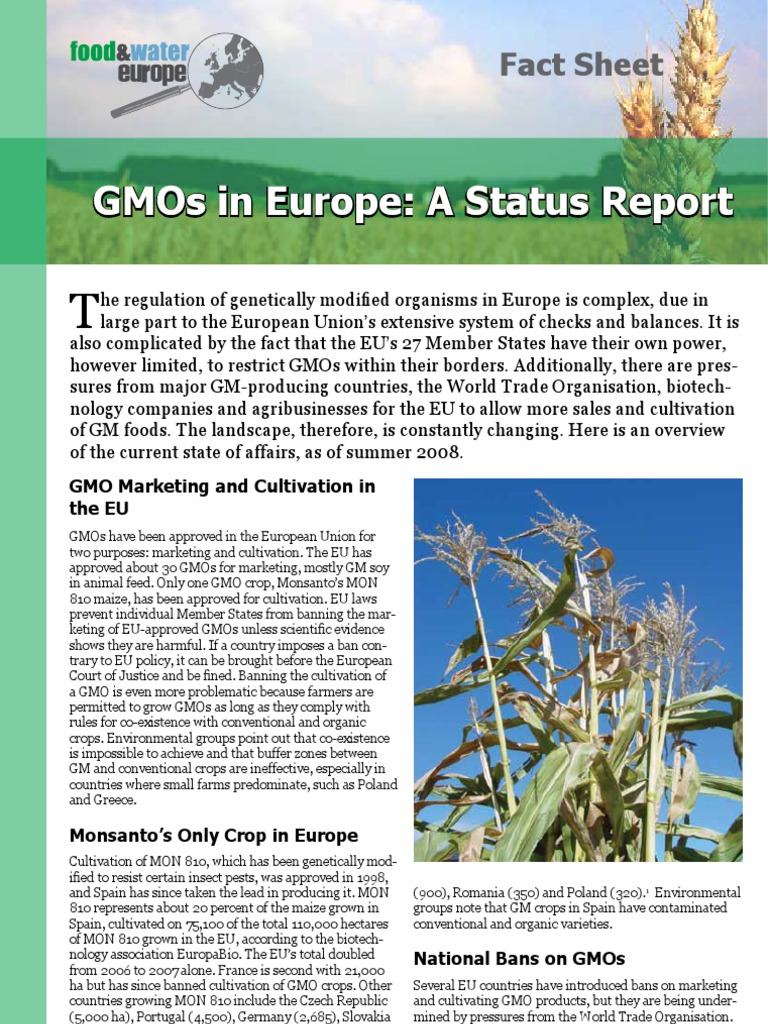 GMOs in Europe: A Status Report | PDF | Genetically Modified Organism ...