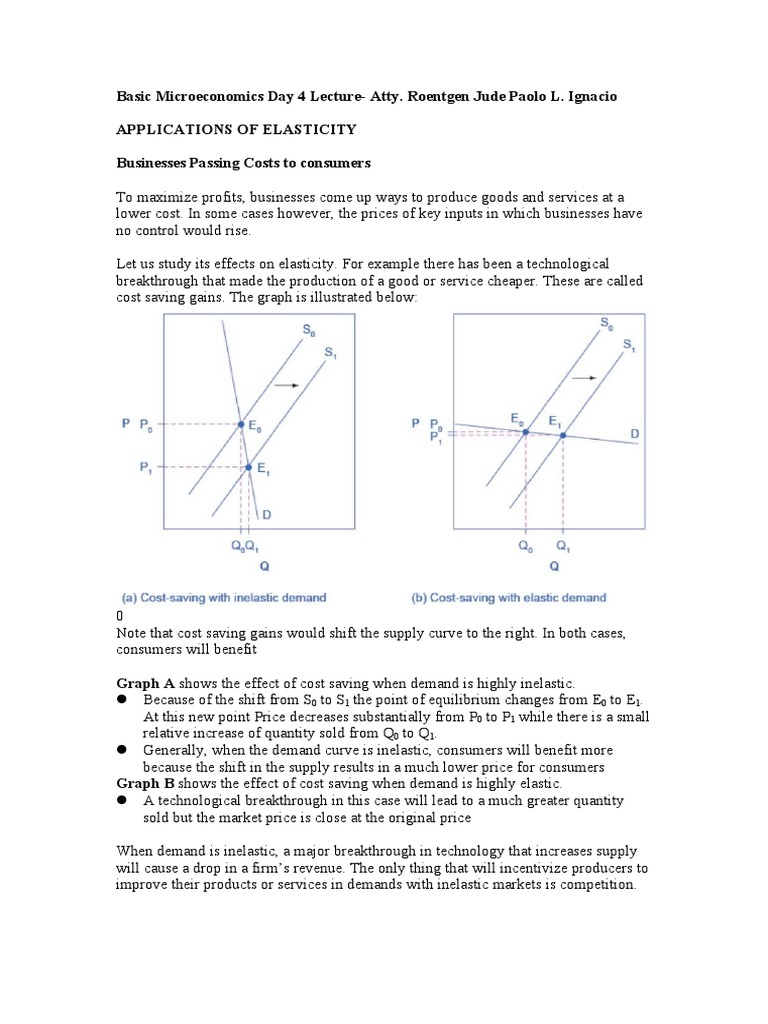 Basic Microeconomics Day 4 Lecture | PDF | Elasticity (Economics) | Tax ...