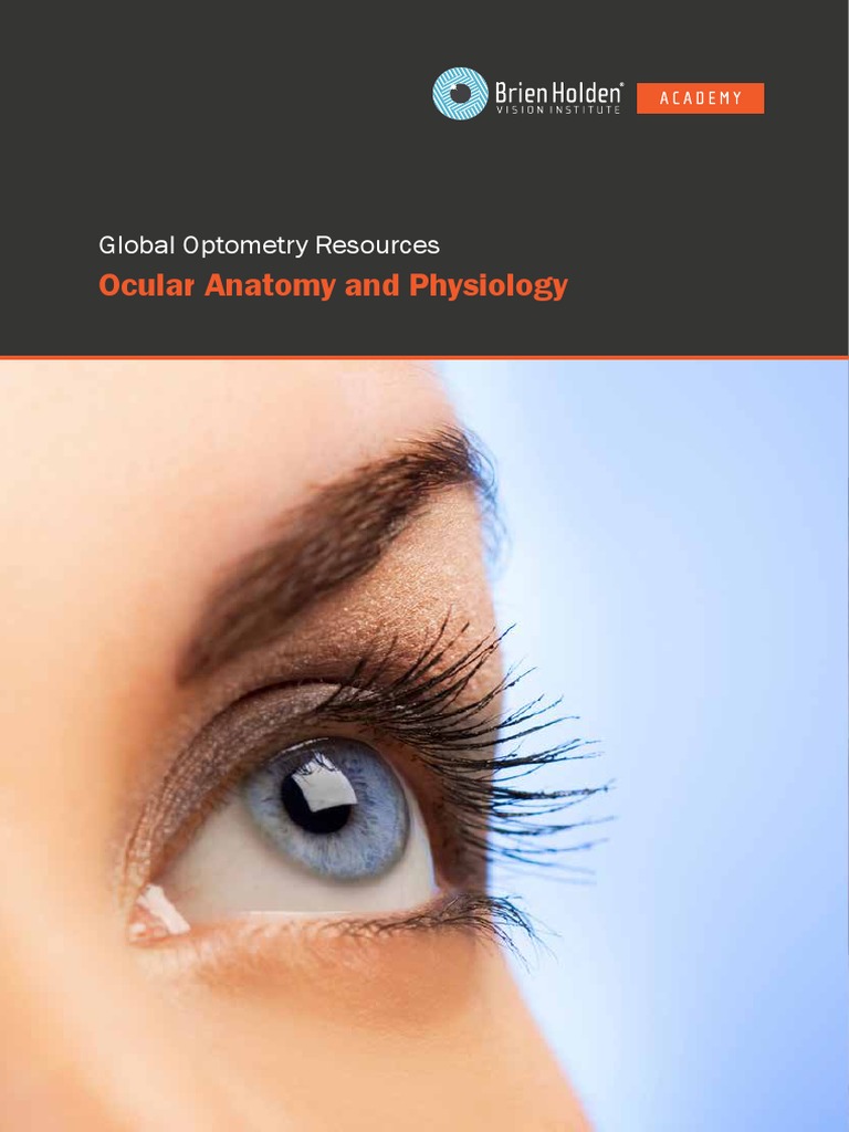 Ocular Anatomy Physiology | Download Free PDF | Cornea | Skull