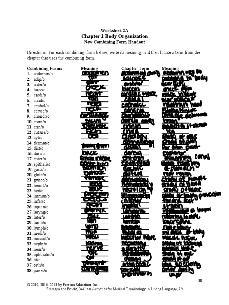 Med Term CH 2 WS | PDF | Human Body | Anatomical Terms Of Location
