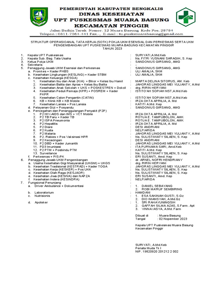 SOTK Pokja UKM Esensial Dan Pengembangan UPT Puskesmas Muara Basung | PDF