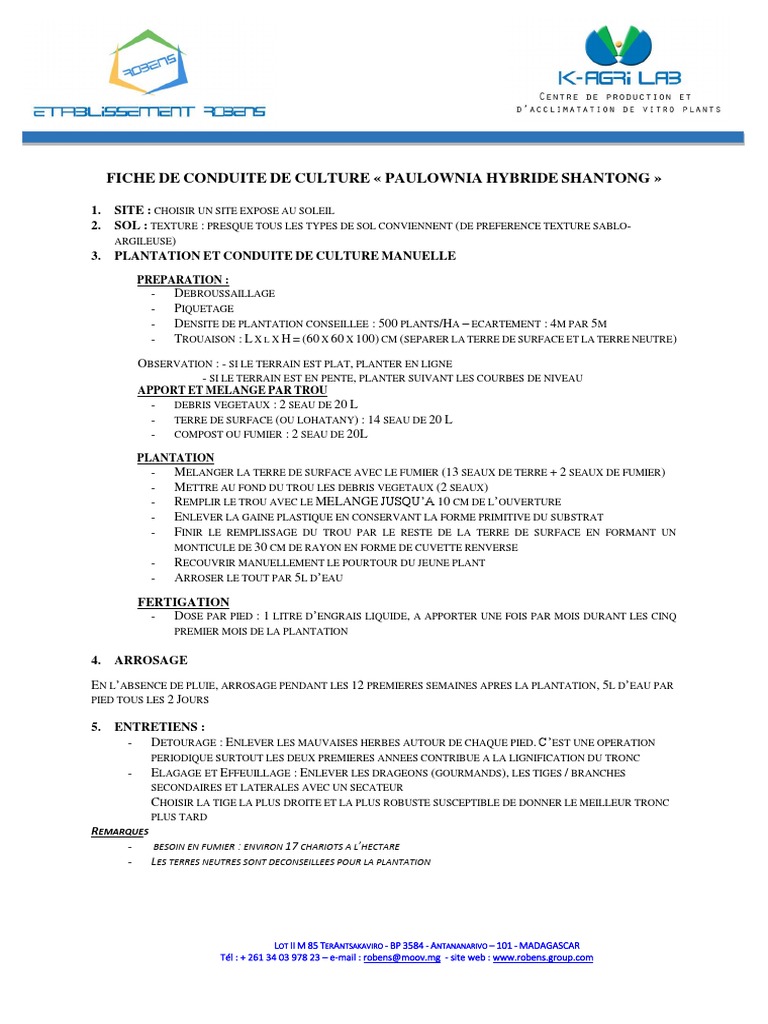 FICHES TECHNIQUE PAULOWNIA new-DEF | PDF | Horticulture | Botanique