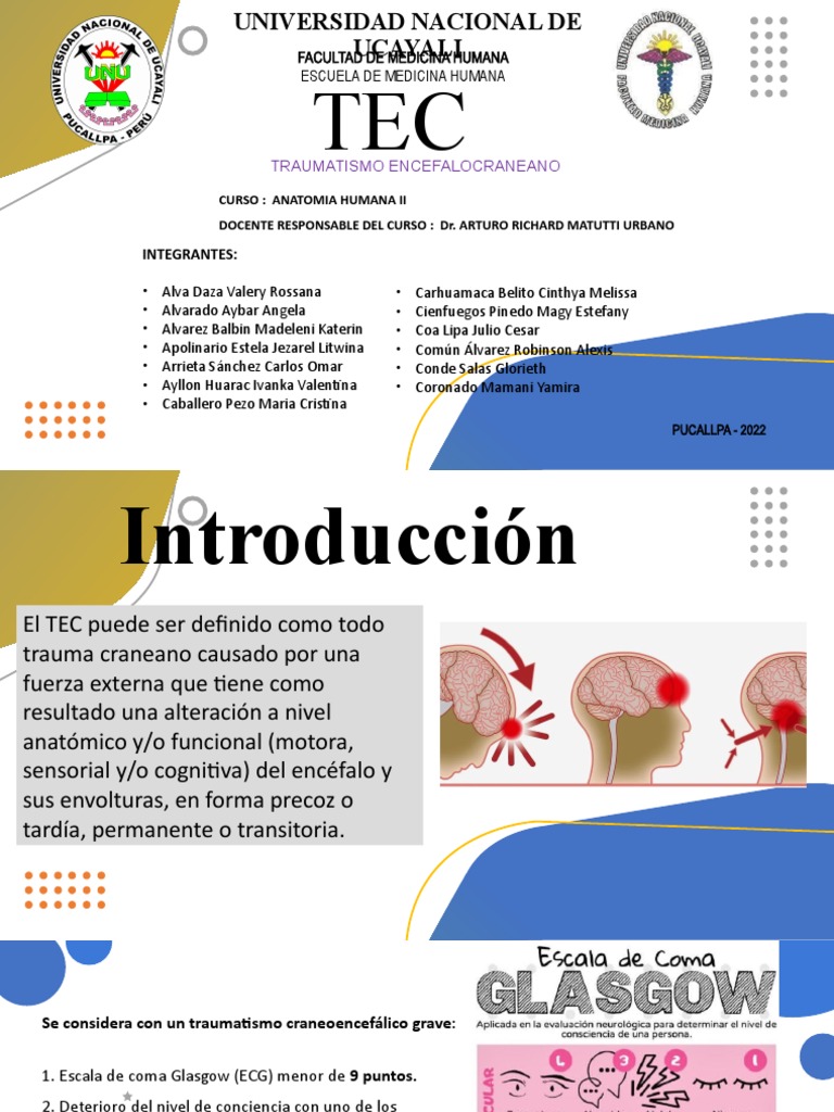 Traumatismo Craneal: Anatomía y Complicaciones | PDF | Lesión cerebral ...