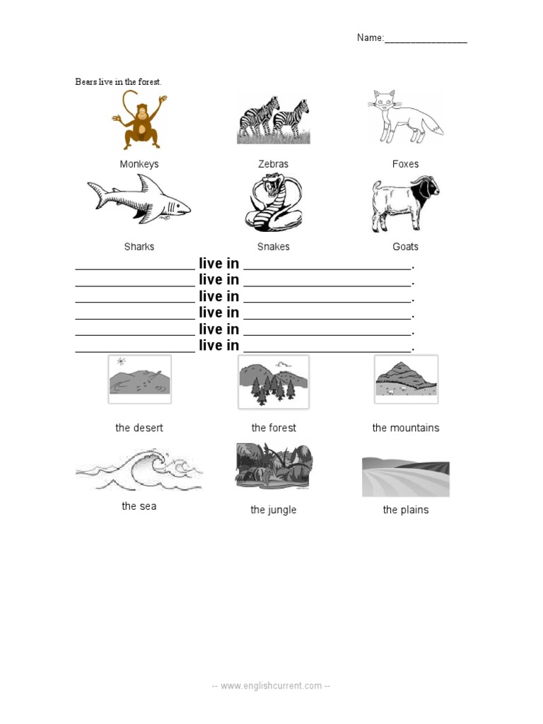 Animal Habitats Worksheet | PDF