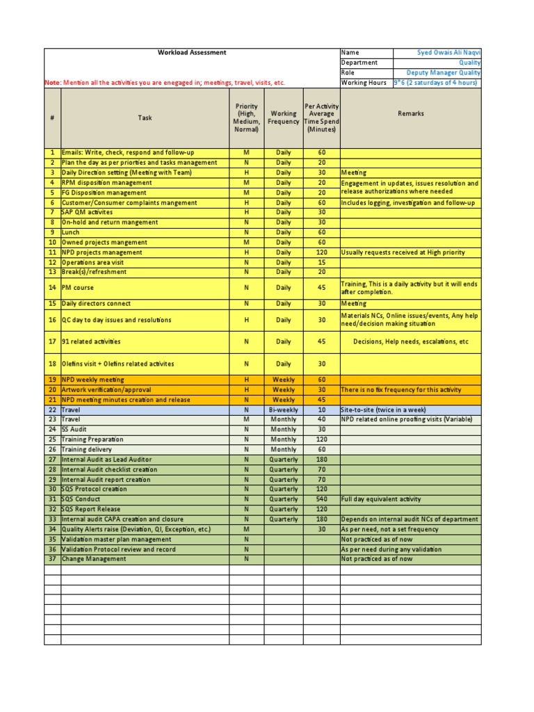 Workload Assessment - S. Owais Ali | PDF | Internal Audit | Business