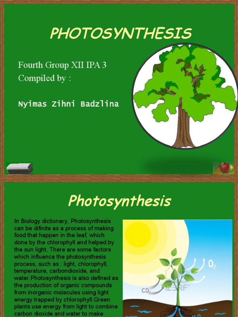Dokumen Tips Photosynthesis Text Explanation PDF Photosynthesis