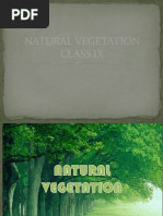 Maths Portfolio Class 9 NCERT | PDF