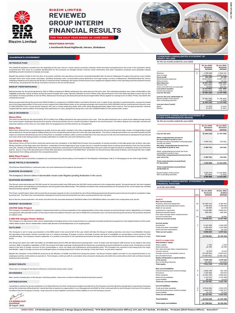 Riozim Half Year June 2022 Results | PDF | Financial Statement | Equity ...