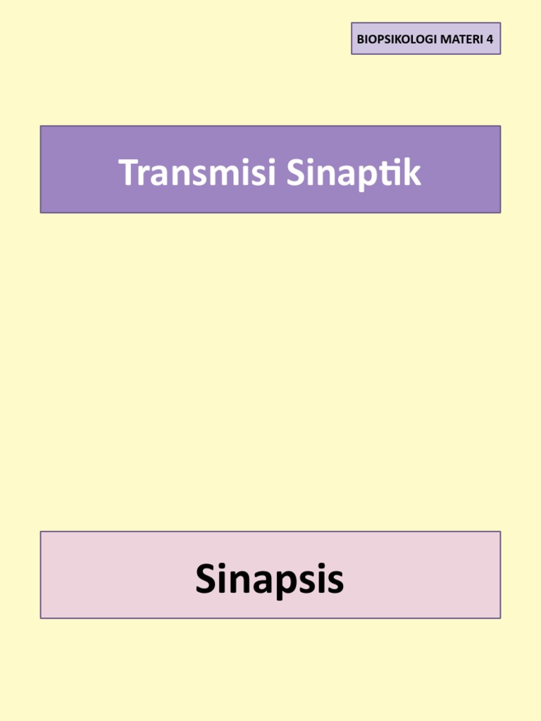 Transmisi Sinaptik | PDF