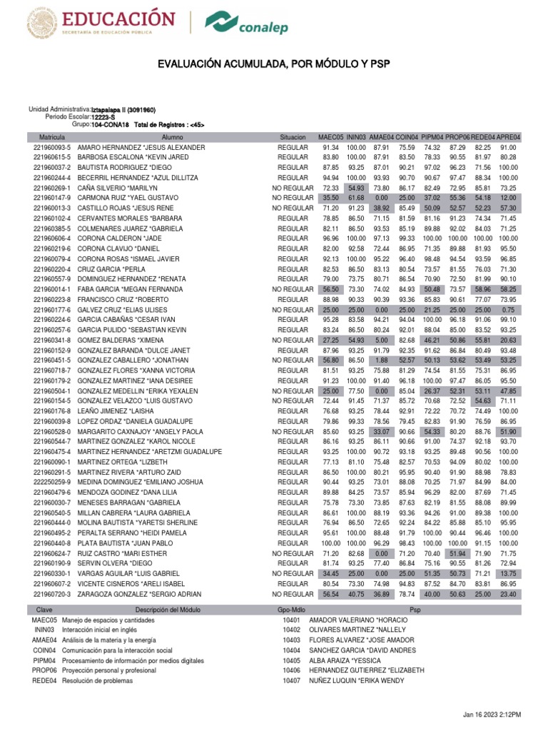 Evaluación Acumulada, Por Módulo Y PSP | PDF