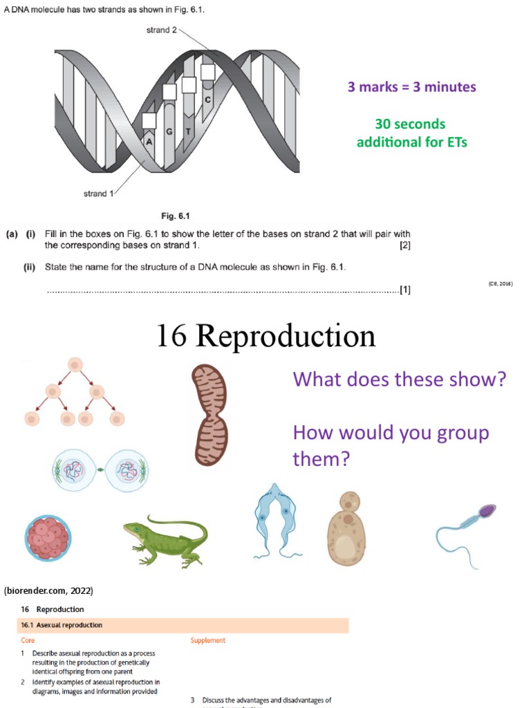 16.1 & 16.2 Sexual & Asexual Reproduction | PDF | Ploidy | Sexual ...