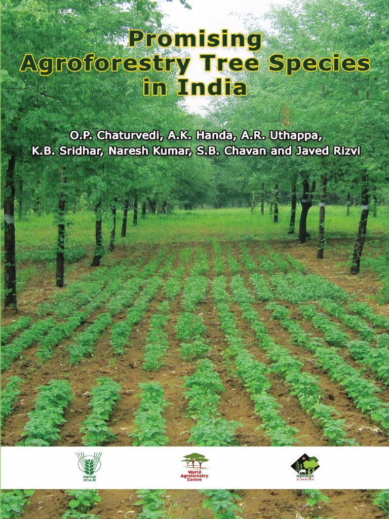 Promising Agroforestry Tree Species | PDF | Wood | Seed