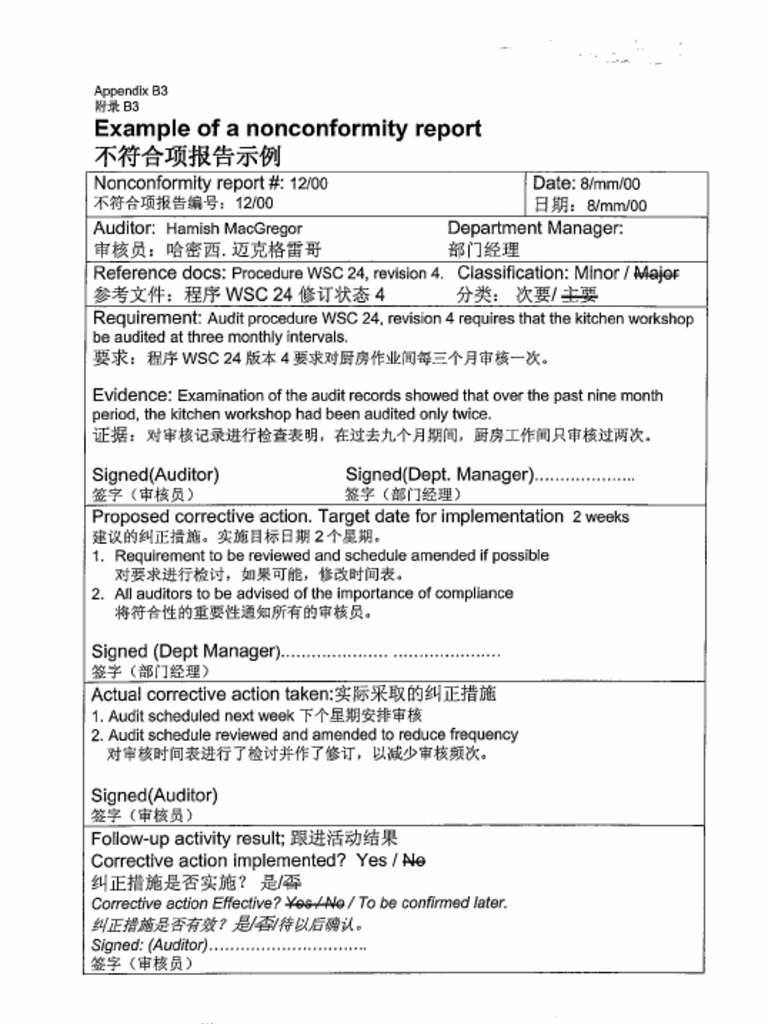 3 Example+of+nonconformity+report | PDF