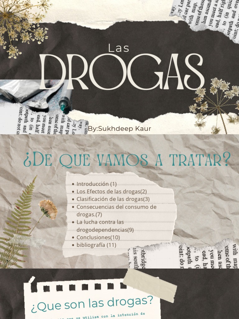 Drogas Pdf La Dependencia De Sustancias Cocaína