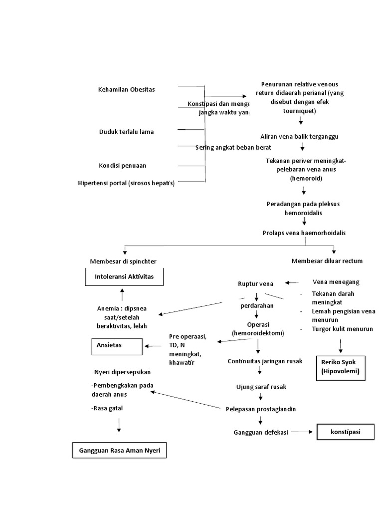 Pathway Hemoroid | PDF
