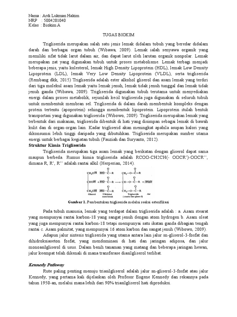 TUGAS BIOKIM Ardi | PDF