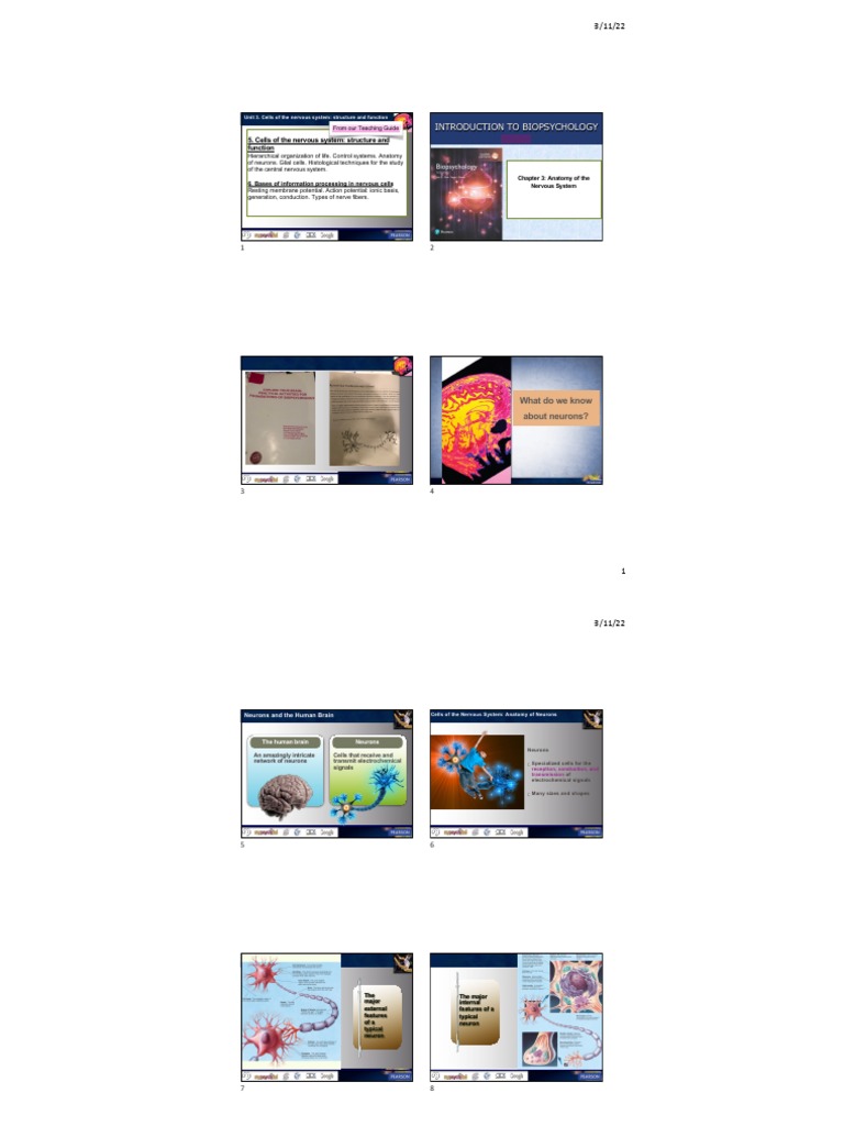 Handout UNIT 3 | PDF