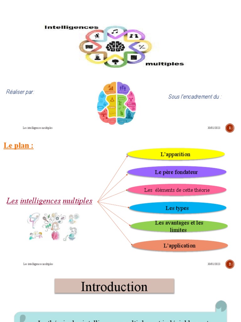Les Intelligences Multiples | PDF | Sciences et mathématiques