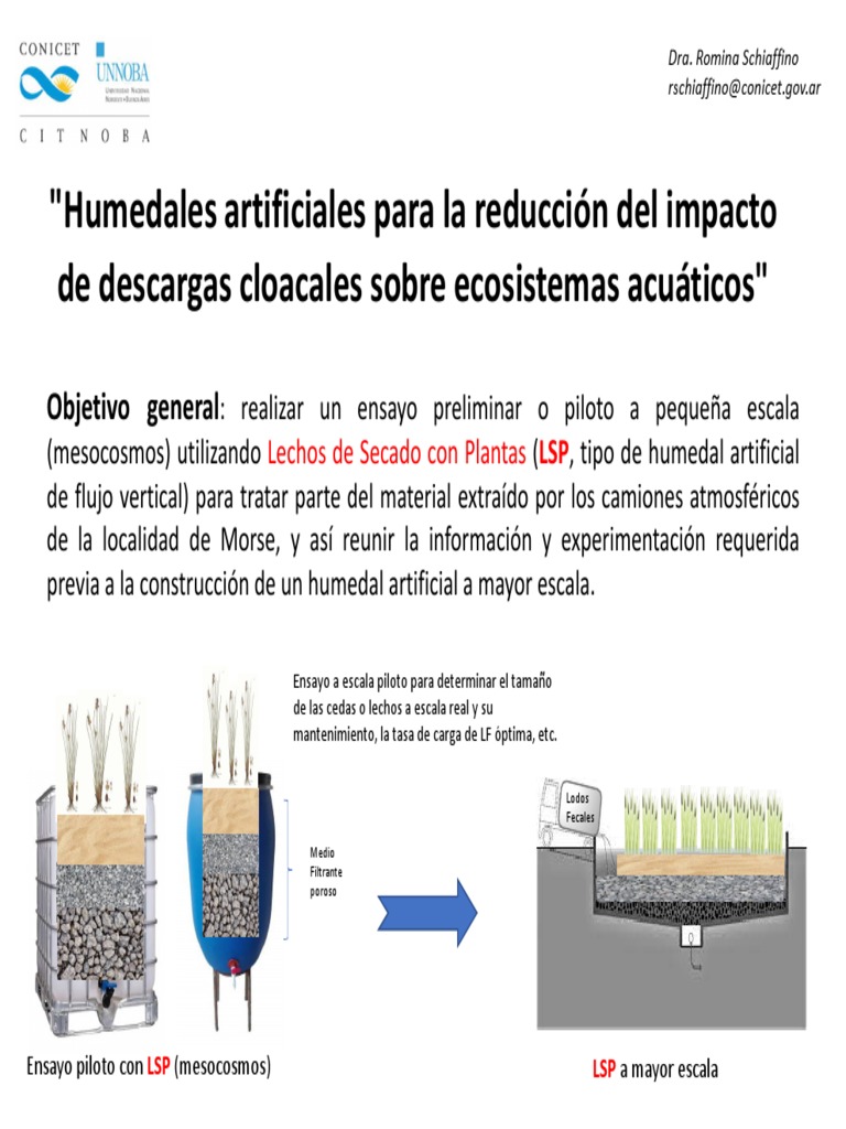 Lecho de Secado Con Plantas | PDF | Química | Tecnología Ambiental