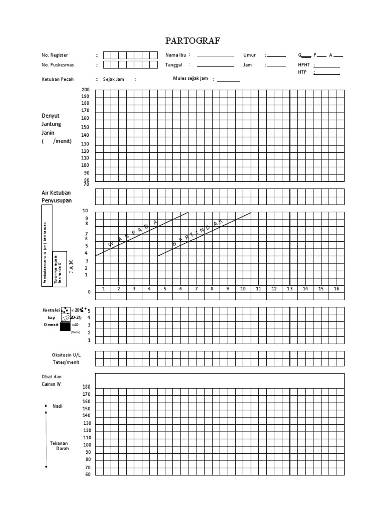 Panduan Lengkap Pengisian Partograf | PDF