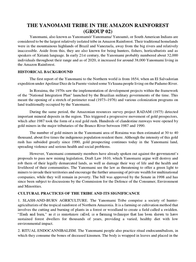 The Yanomami Tribe in The Amazon Rainforest | PDF