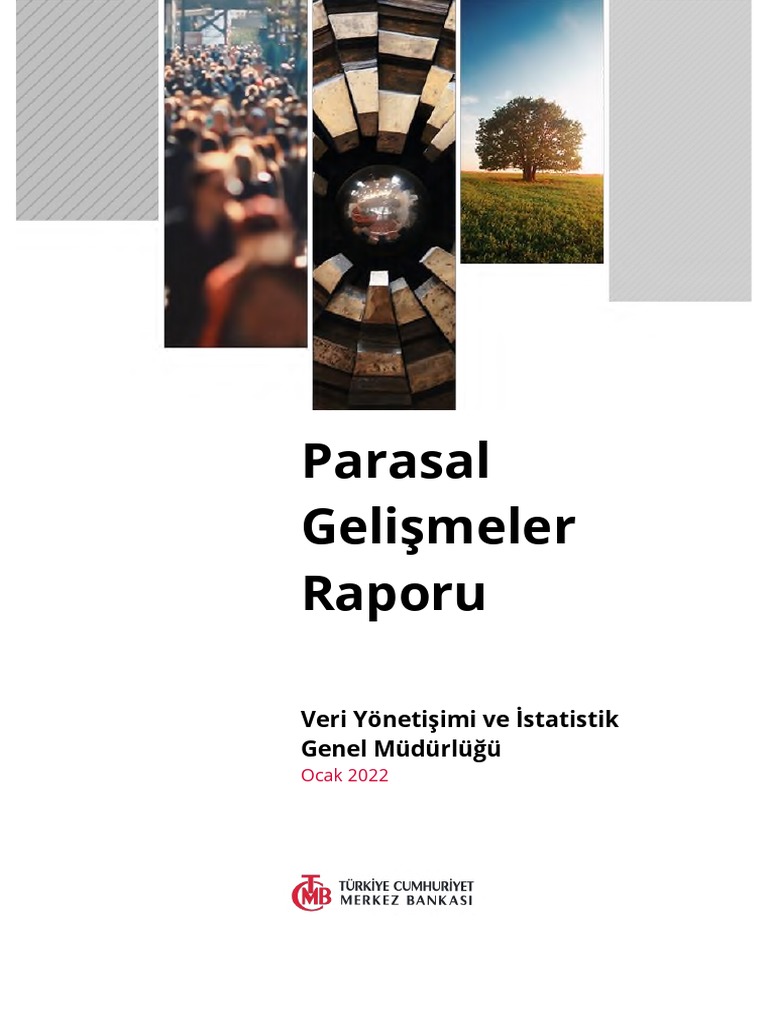 Parasal+Gelişmeler Raporu | PDF