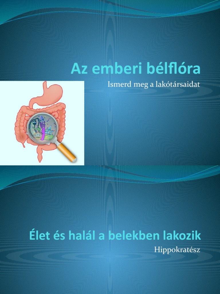 Az Emberi Bélflóra | PDF