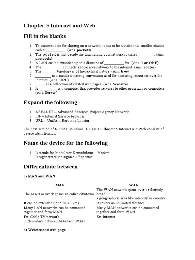 Chapter 5 Internet and Web Computer Science Class 12 | PDF | Computer ...