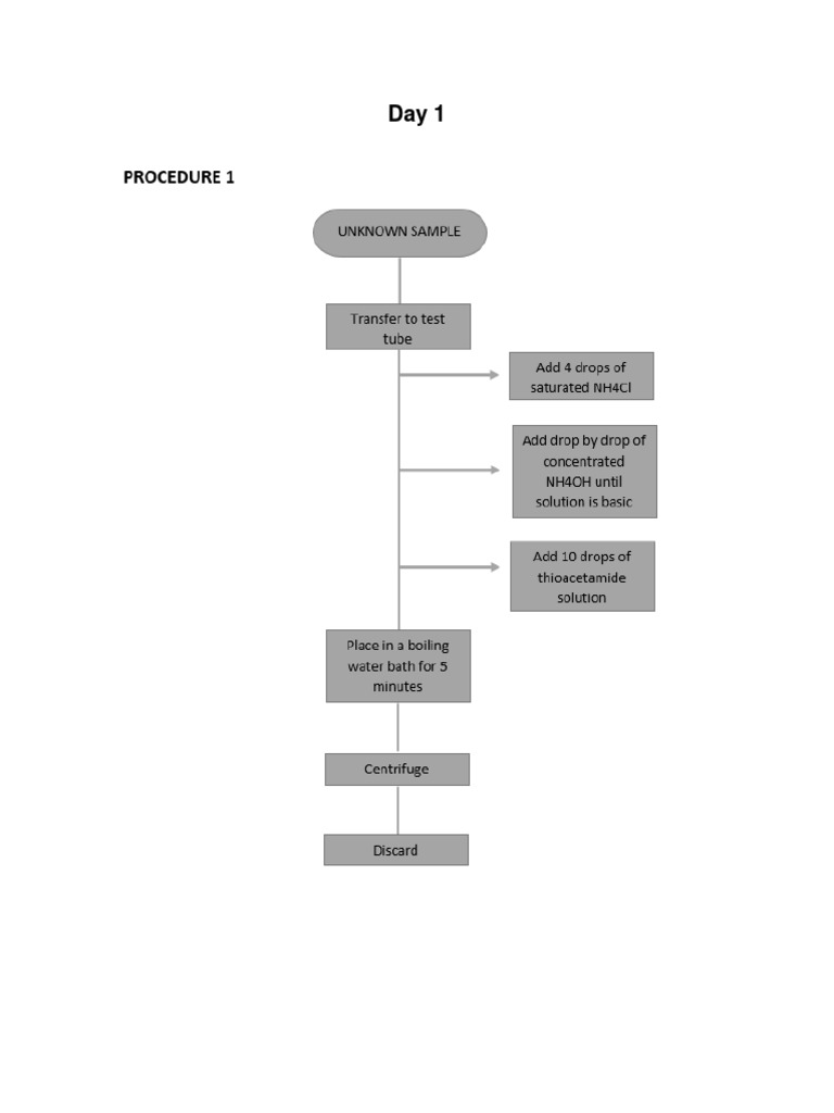 Activity 2 Flowchart Group 1 | PDF