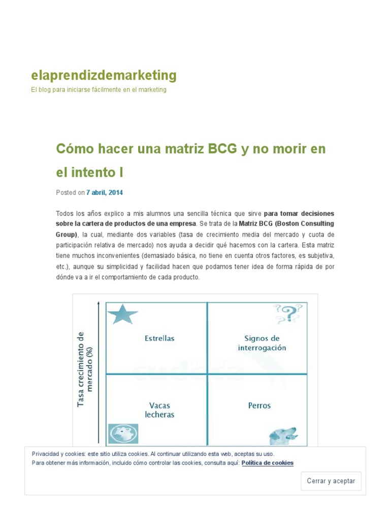 Cómo Hacer Una Matriz BCG y No Morir en El Intento I ...