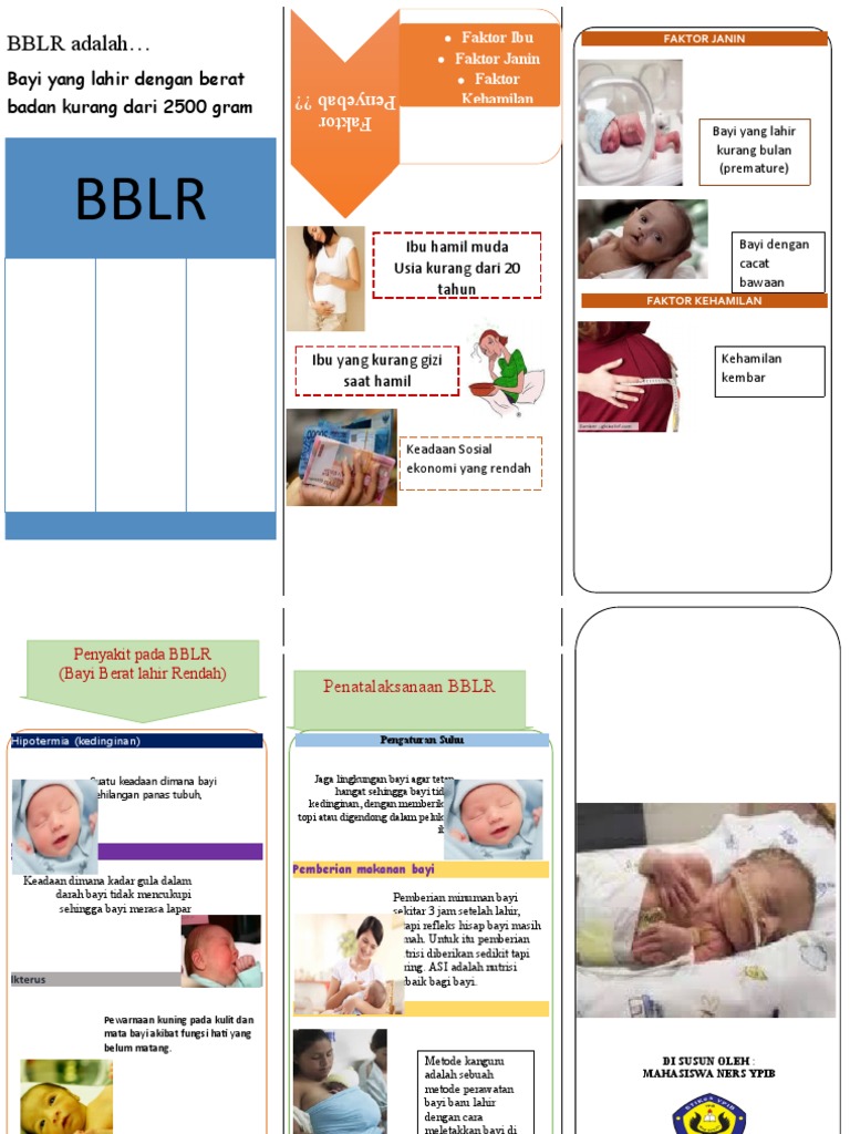 Leaflet Penyuluhan BBLR | PDF