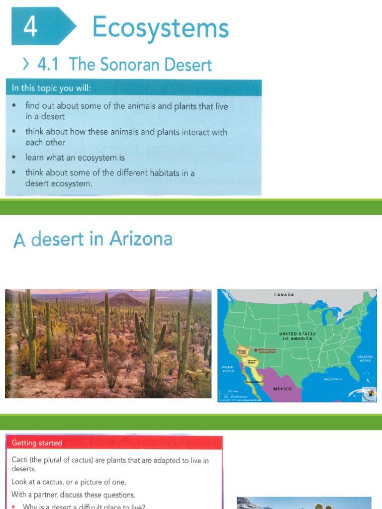 Ecosystems | PDF | Desert | Flowers