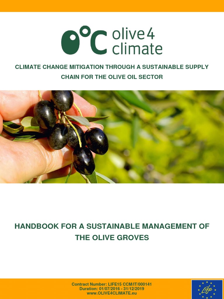 Planning for Success: A Guide to Establishing High-Yielding ...