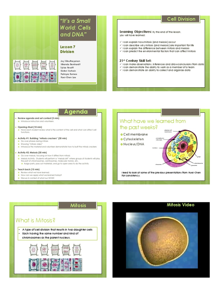 Lesson 7 Cell Division | PDF | Mitosis | Cell Biology