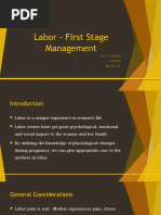 WHO Labour Care Guide: User'S Manual | PDF | Postpartum Period | Childbirth